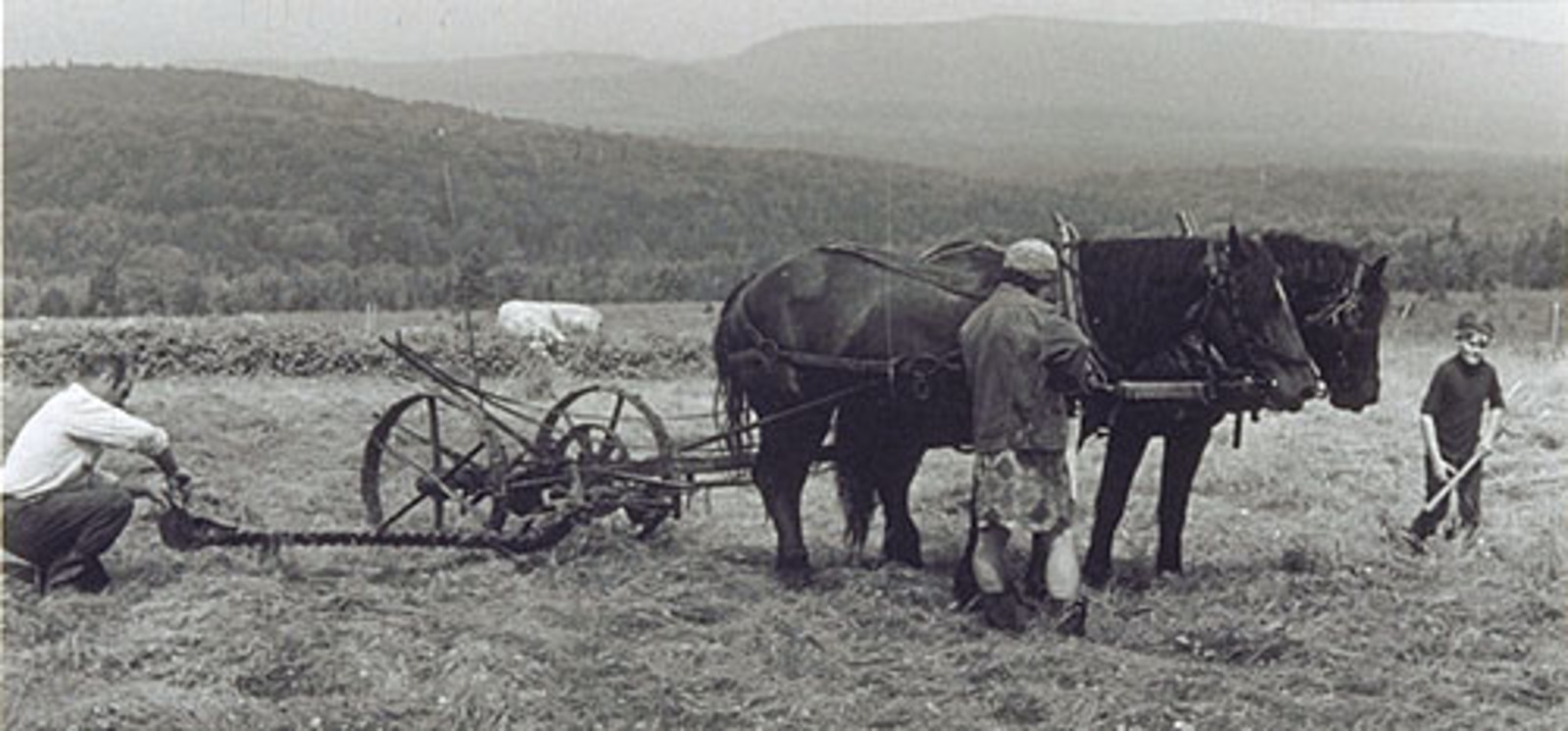 Monsieur et Madame Émile Houde et leur garçon Daniel, chemin Saint ...