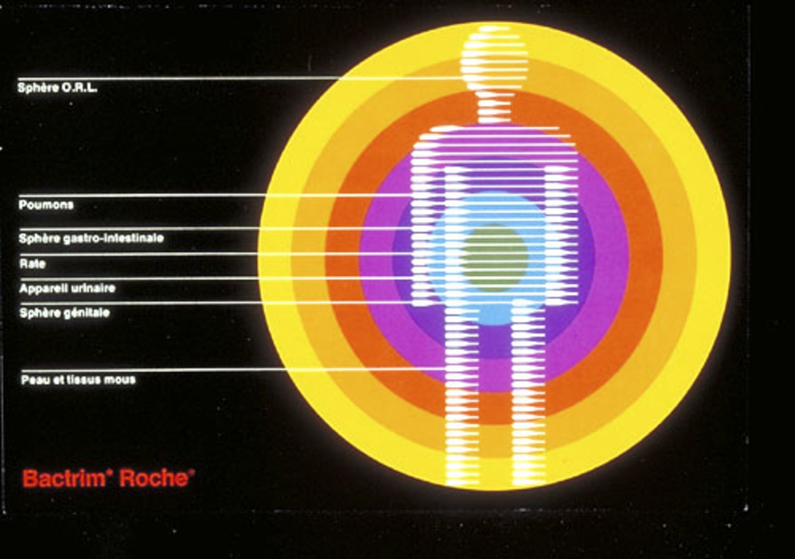 Dépliant « Bactrim », pour Roche - Harder, Rolf | Collections | MNBAQ