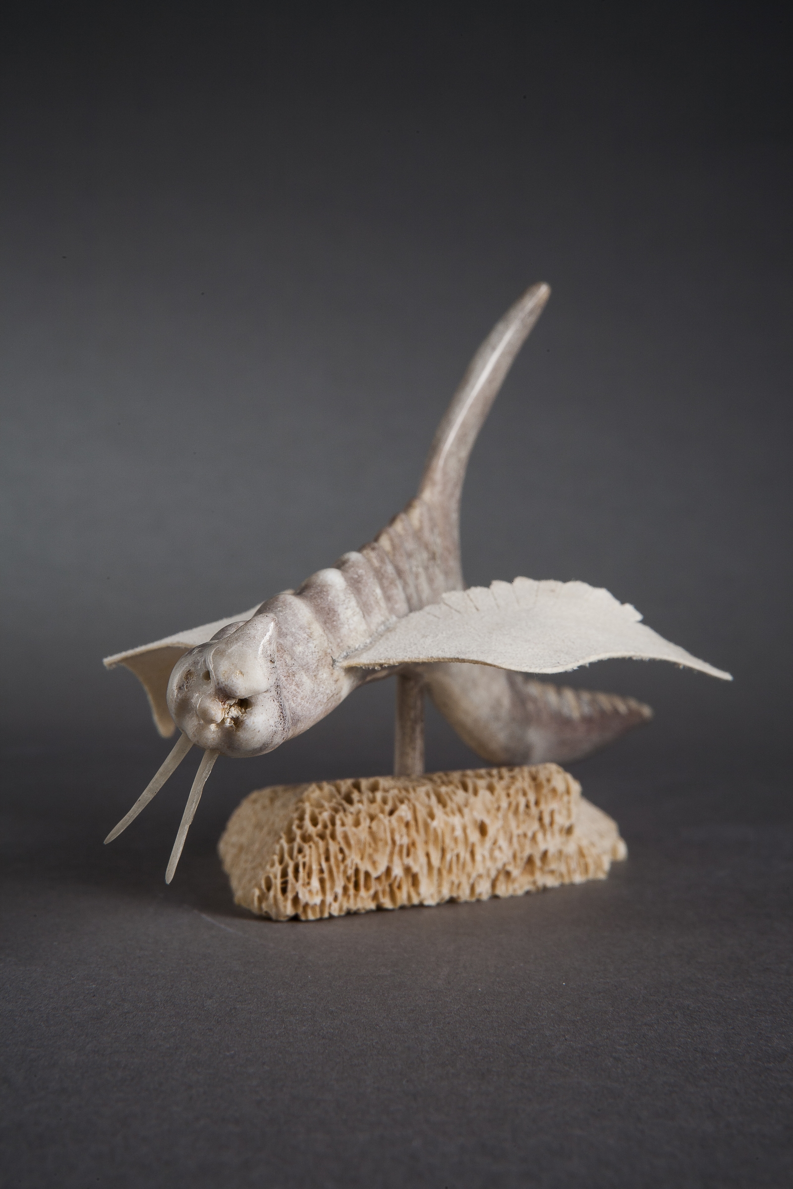 Démon - Sikkuark, Nick | Collections | MNBAQ