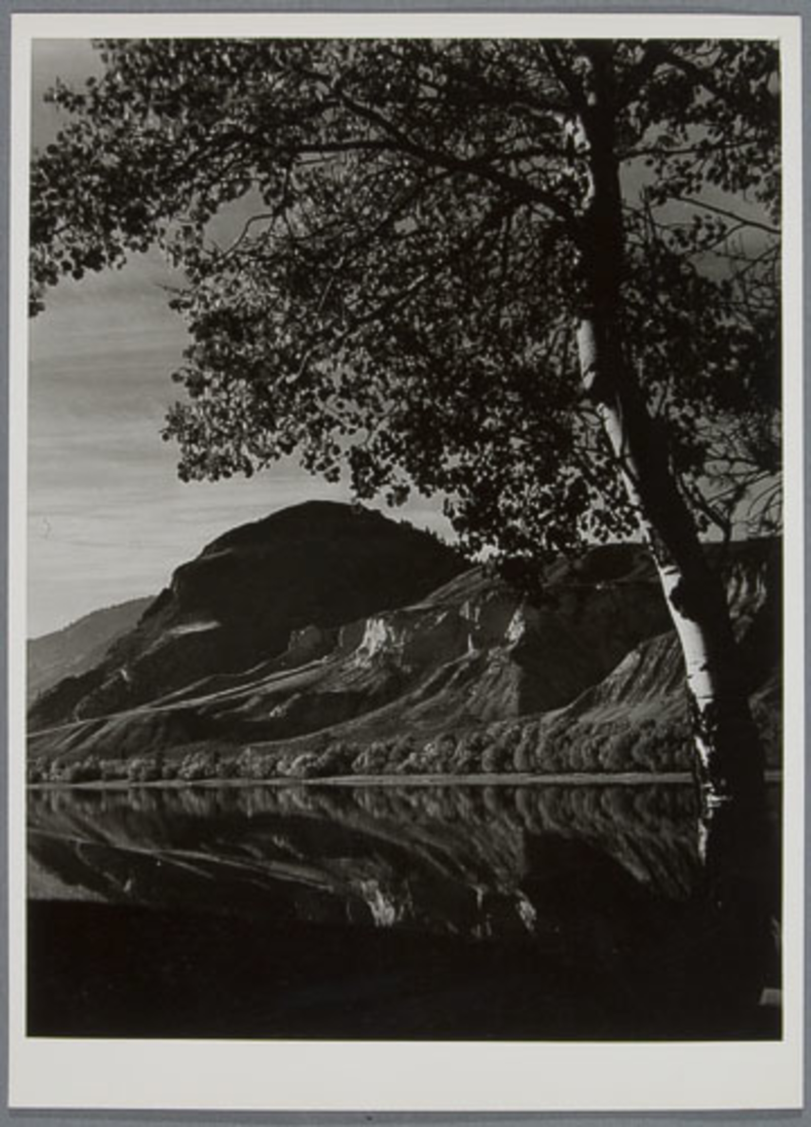 La Rivière Thompson dans les Rocheuses - Morant, Nicholas | Collections ...