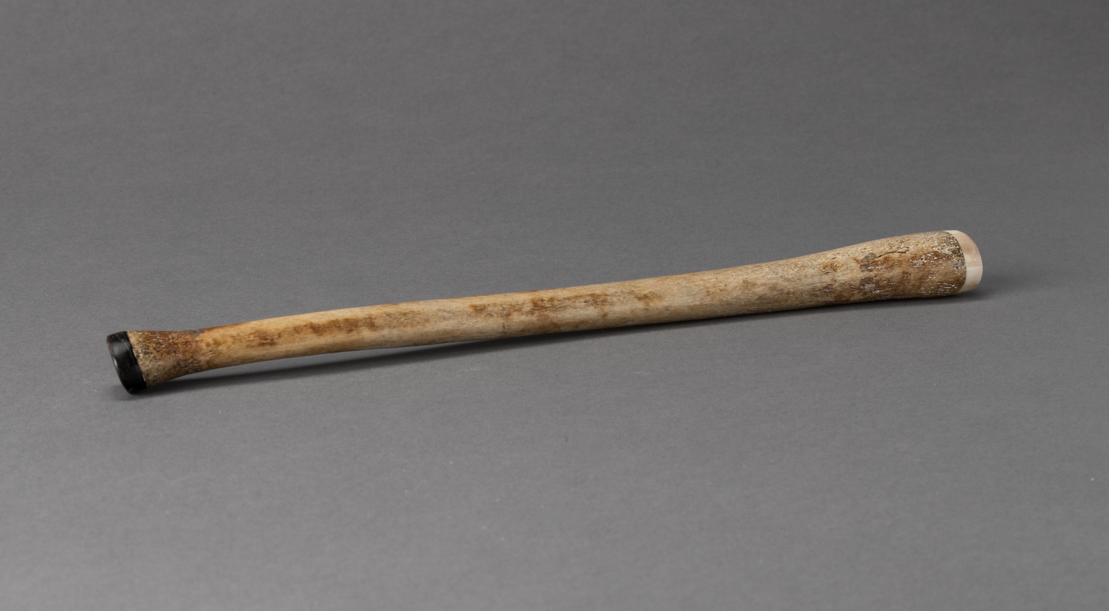 Baculum (Usuk) - Inconnu | Collections | MNBAQ